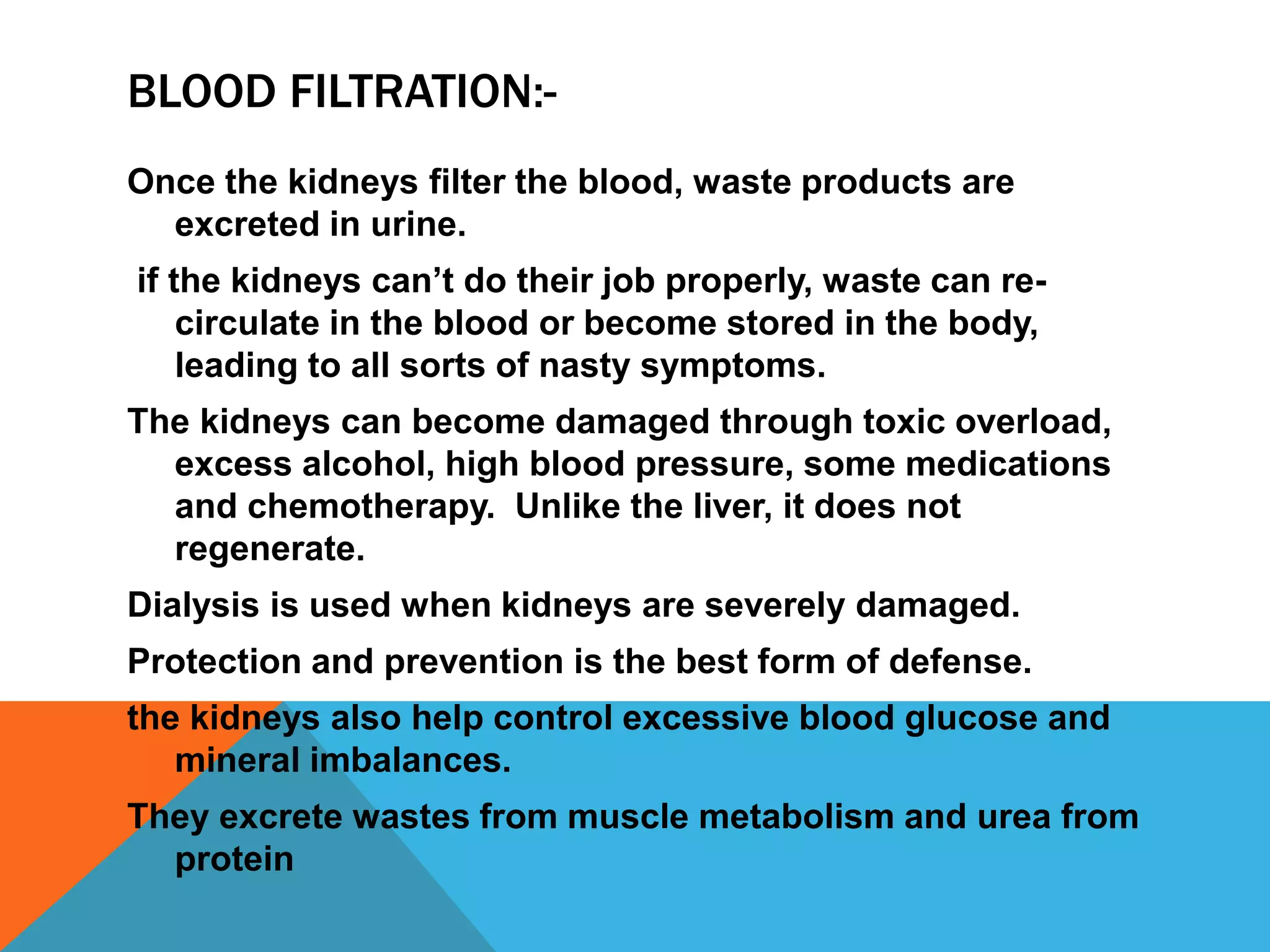 Kidney excretion & detoxification | PPTX