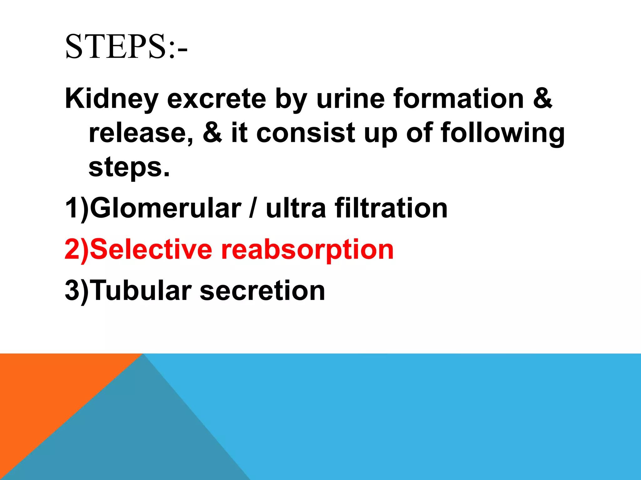 Kidney excretion & detoxification | PPTX