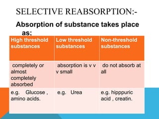 Kidney excretion & detoxification | PPTX