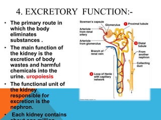 Kidney excretion & detoxification | PPTX