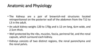 KIDNEY FAILURE MD5 [Autosaved].pptx