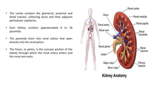 KIDNEY FAILURE MD5 [Autosaved].pptx