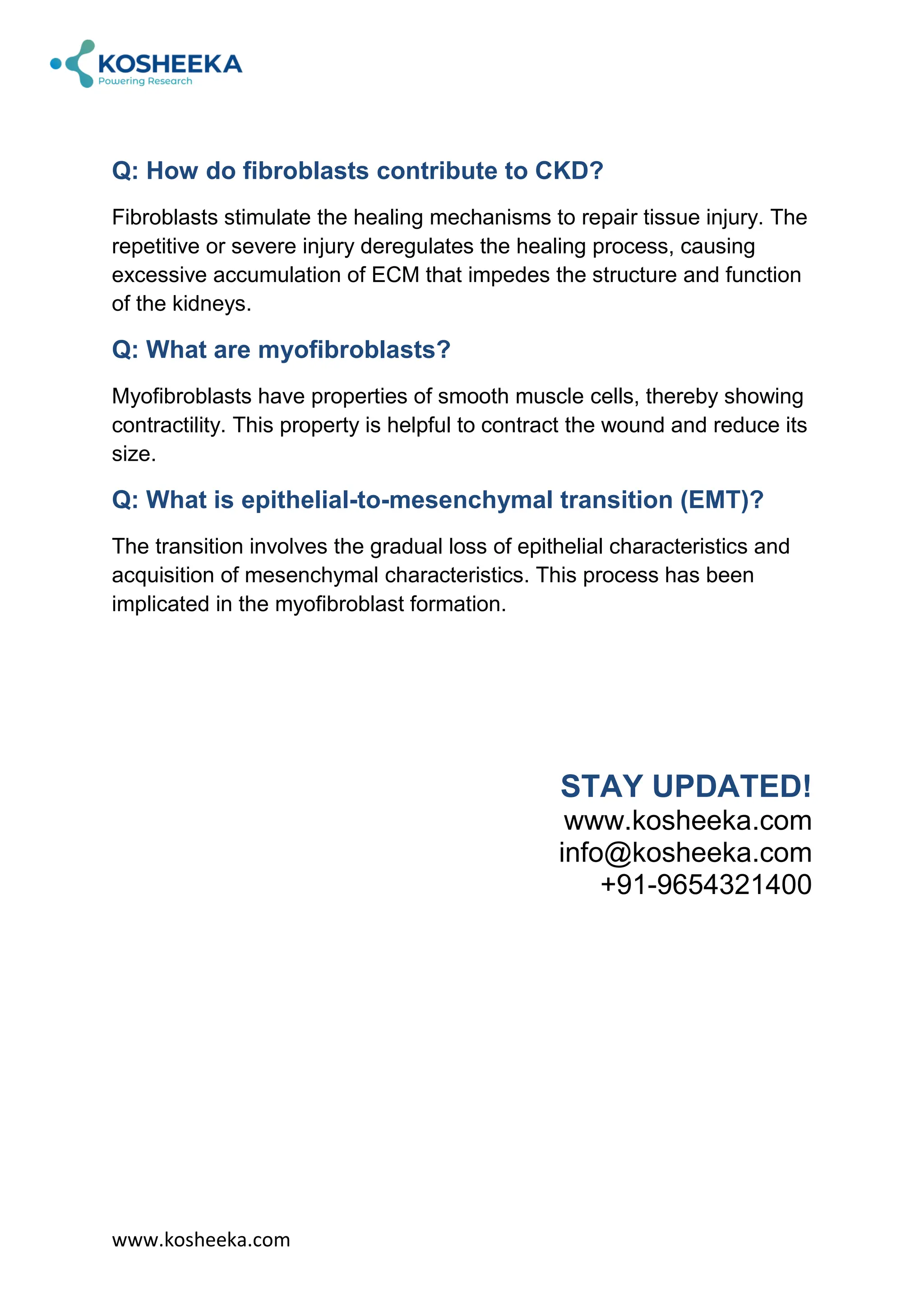 Kidney Fibroblasts: The Role in Renal Structure, Function, and ...