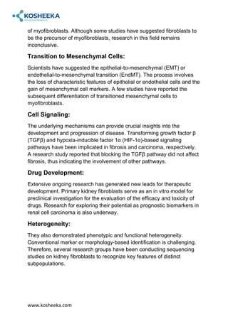 Kidney Fibroblasts: The Role in Renal Structure, Function, and ...