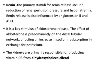Kidney function | PPTX