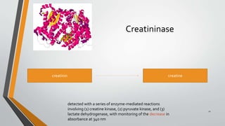 Kidney function tests | PPTX