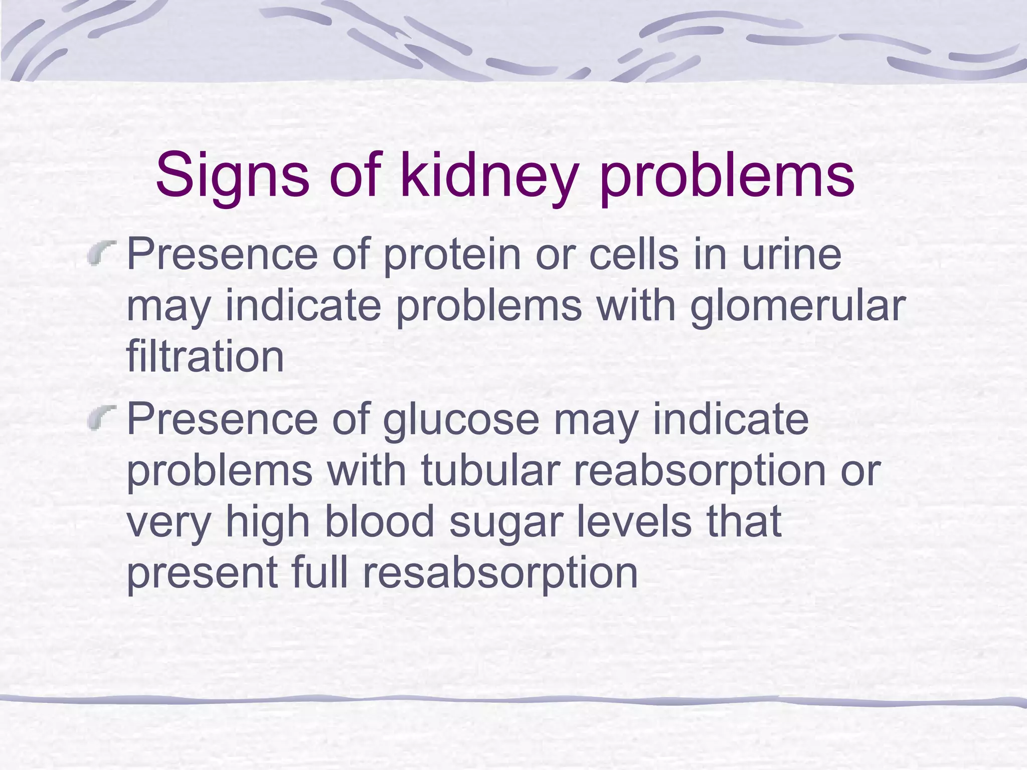 Kidney function and nephrons | PPT