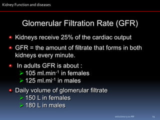 Kidney Function and diseases | PPTX