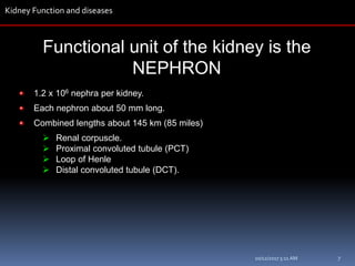 Kidney Function and diseases | PPTX