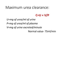 Biochemistry- Kidney Function Test-2.pptx