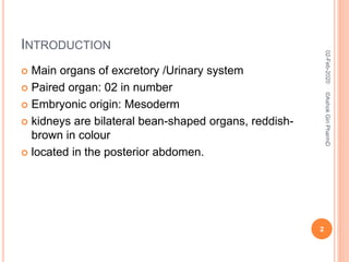 Kidney function test | PPTX
