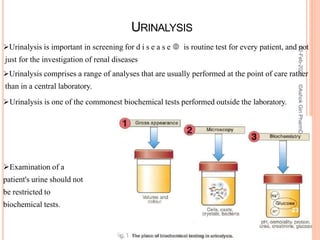 Kidney function test | PPTX