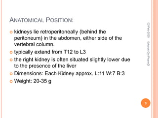 Kidney function test | PPTX