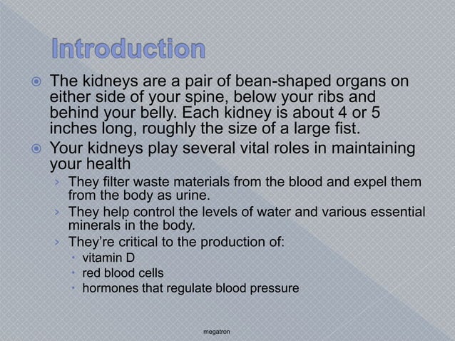 Kidney function test | PPT