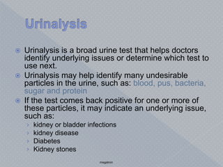 Kidney function test | PPT