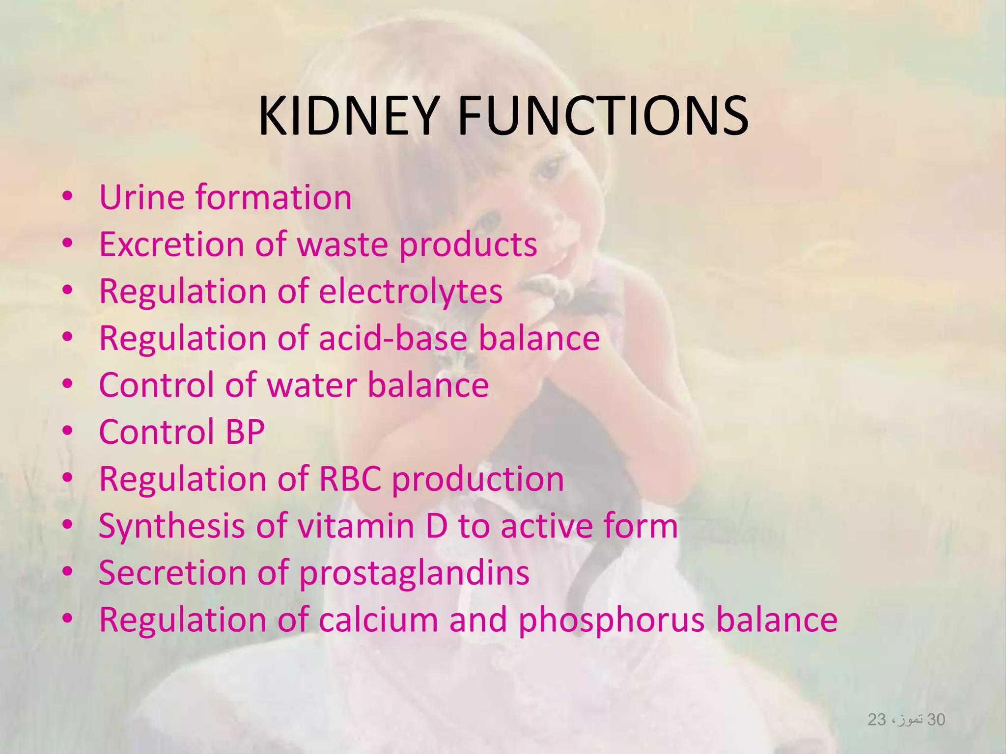 Kidney function test.pptx