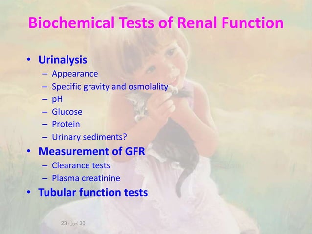 Kidney function test.pptx