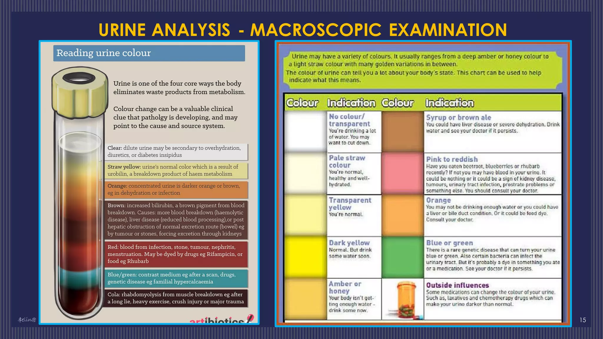 Kidney function test physical macroscopic and microscopic tests | PDF