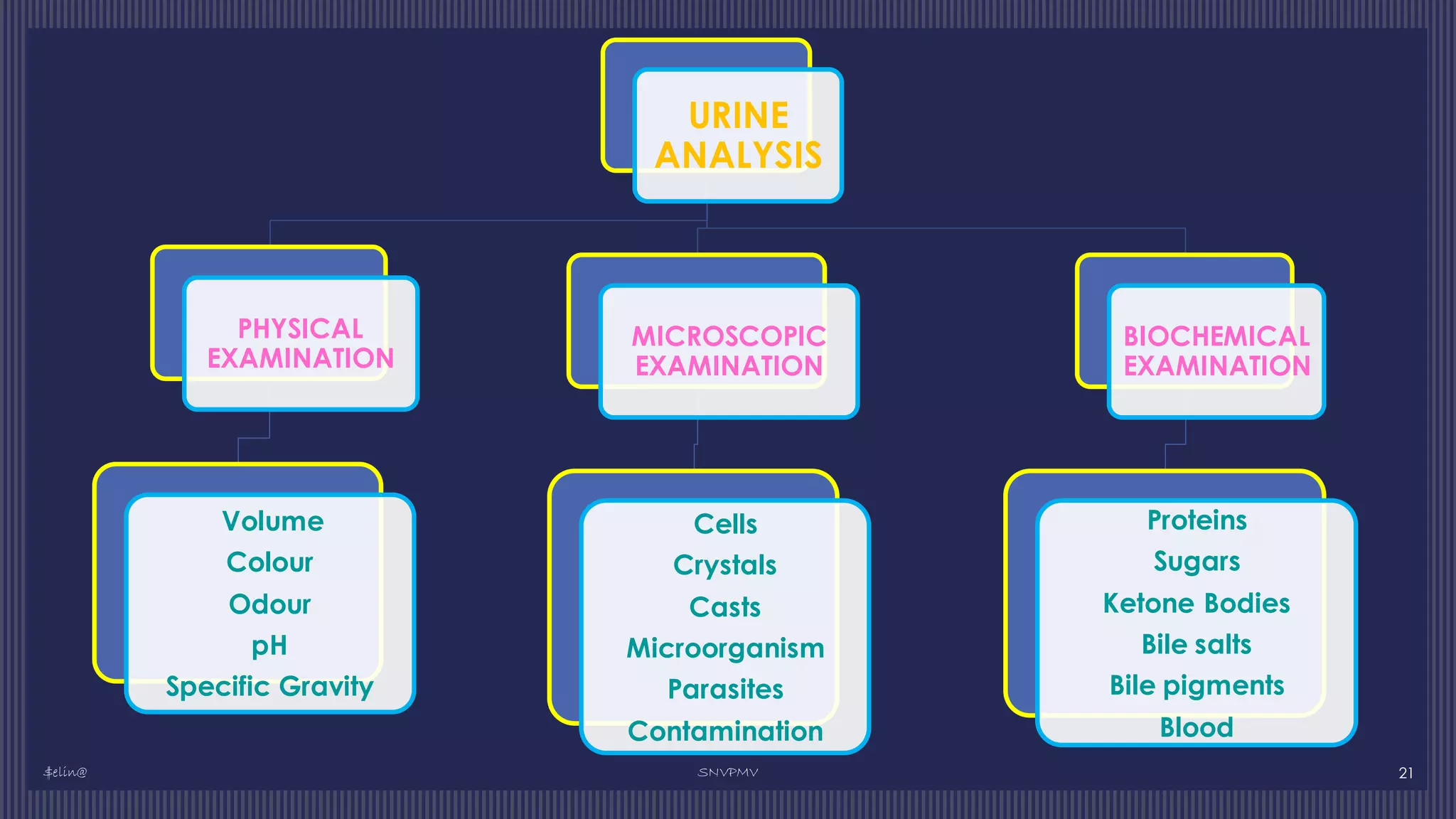 Kidney function test physical macroscopic and microscopic tests | PDF