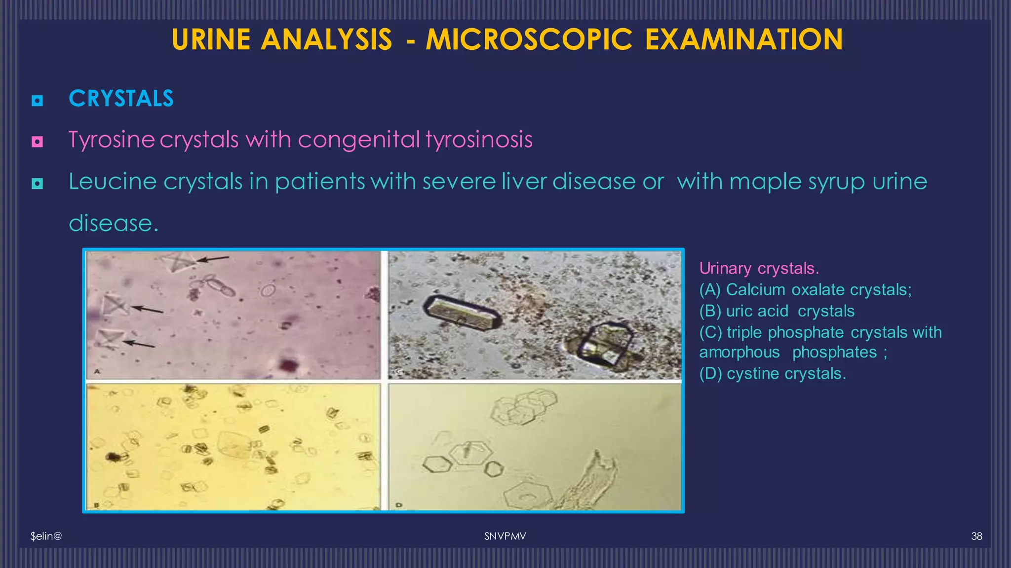 Kidney function test physical macroscopic and microscopic tests | PDF