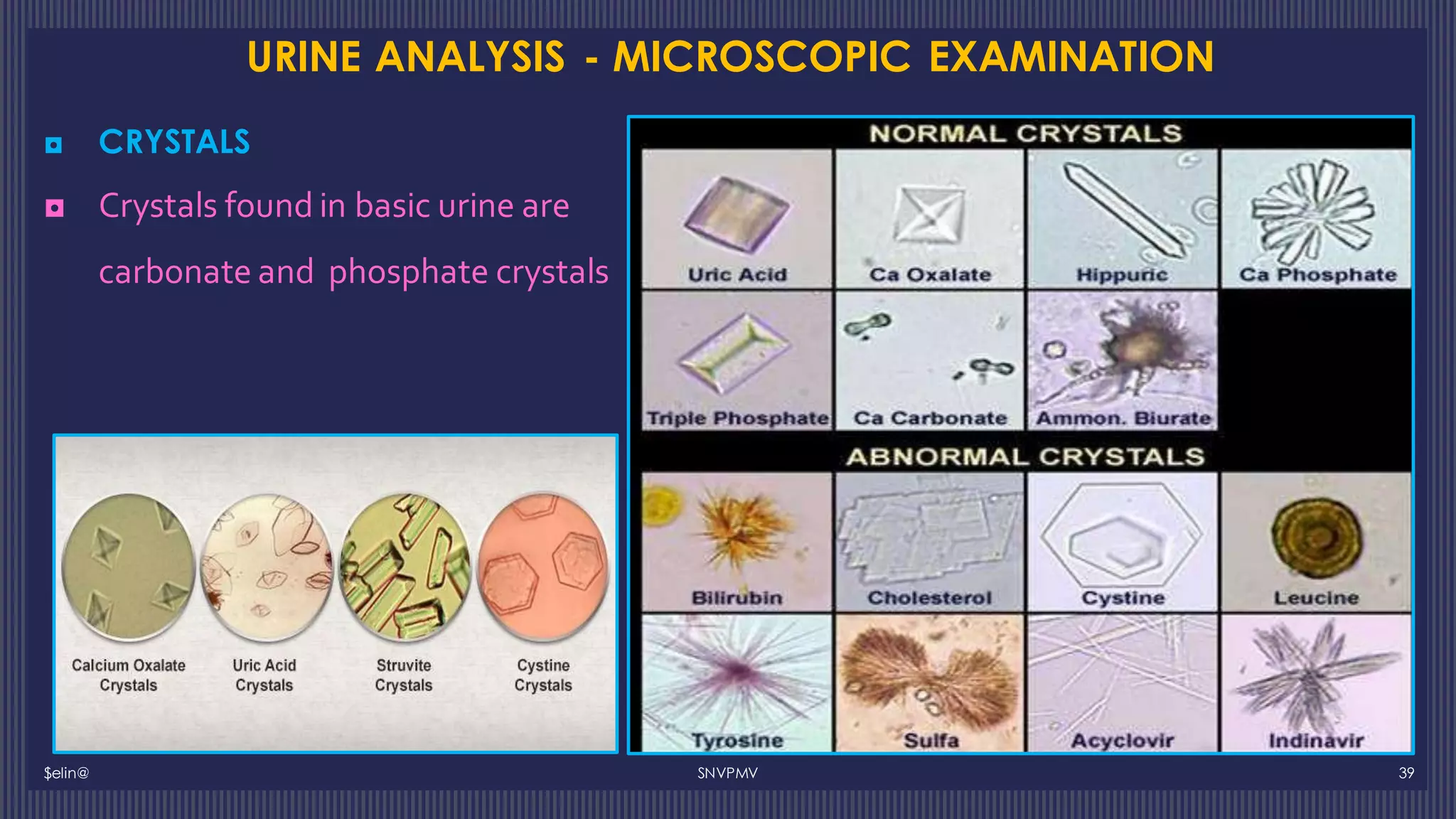 Kidney function test physical macroscopic and microscopic tests | PDF