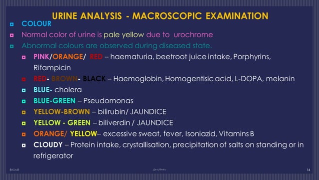 Kidney function test physical macroscopic and microscopic tests | PPT