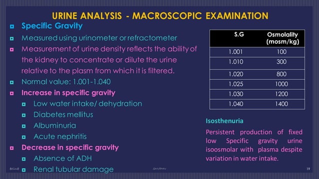 Kidney function test physical macroscopic and microscopic tests | PPT