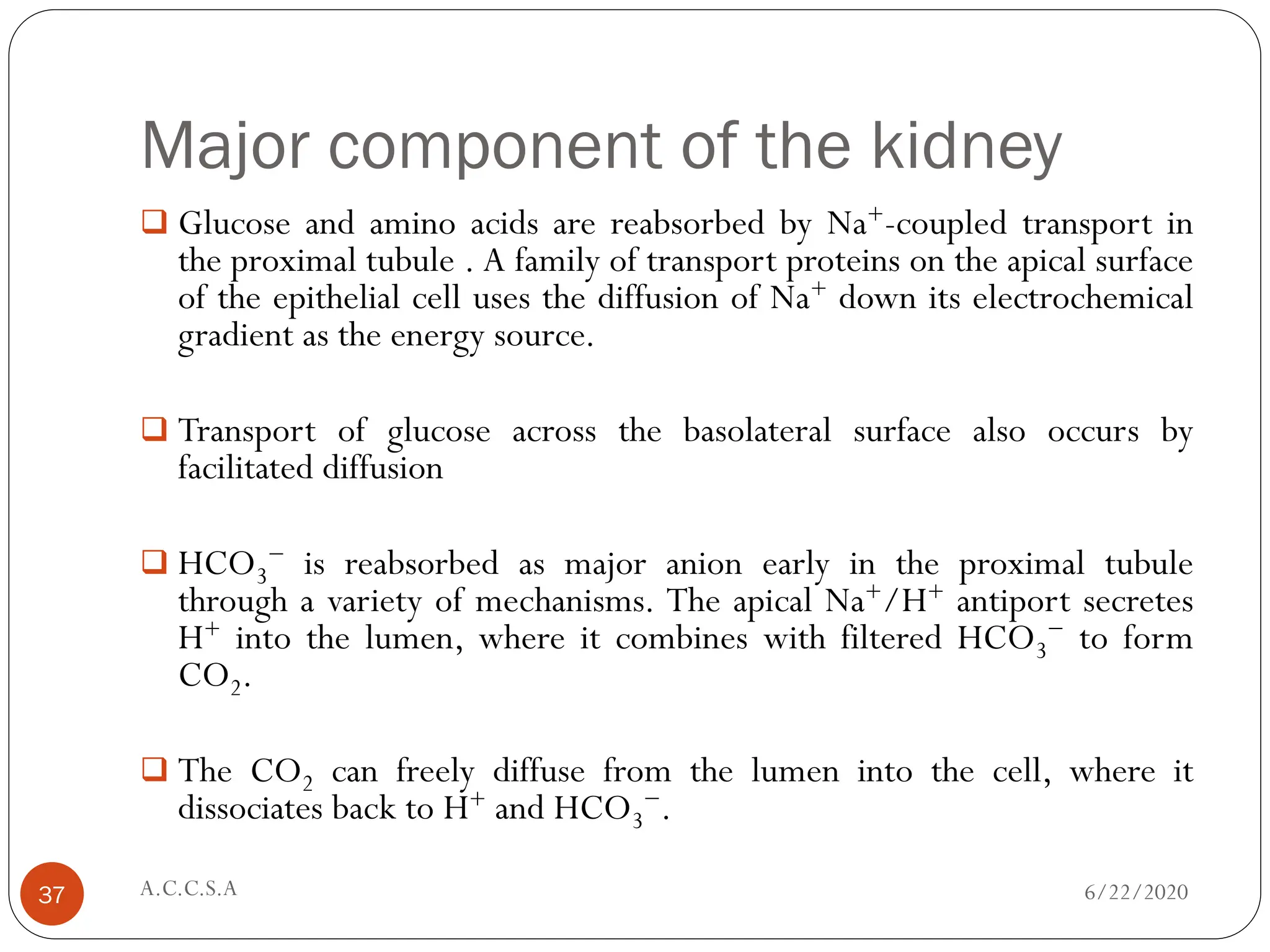 Kidney Function Test (1).pdf