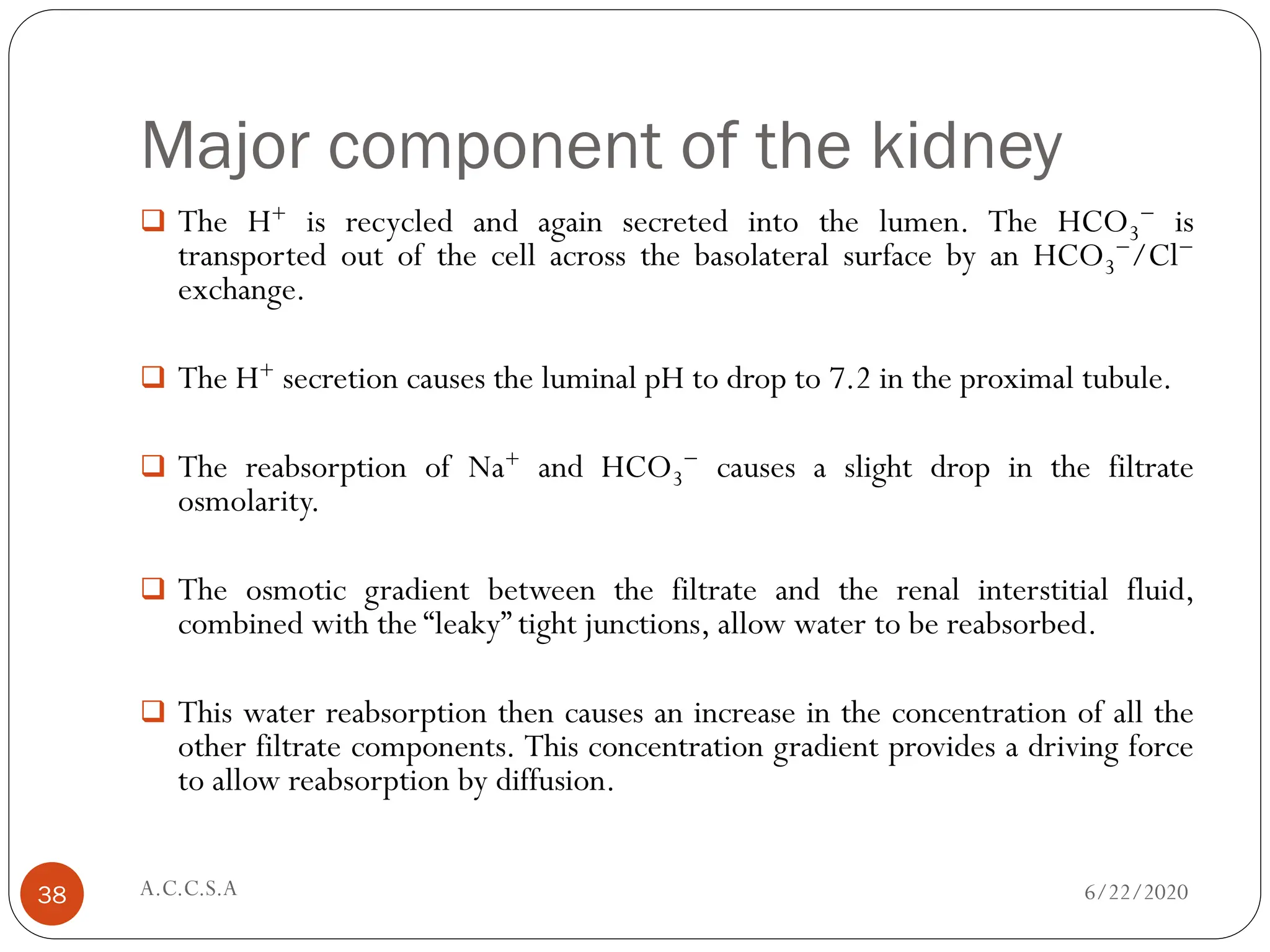 Kidney Function Test (1).pdf