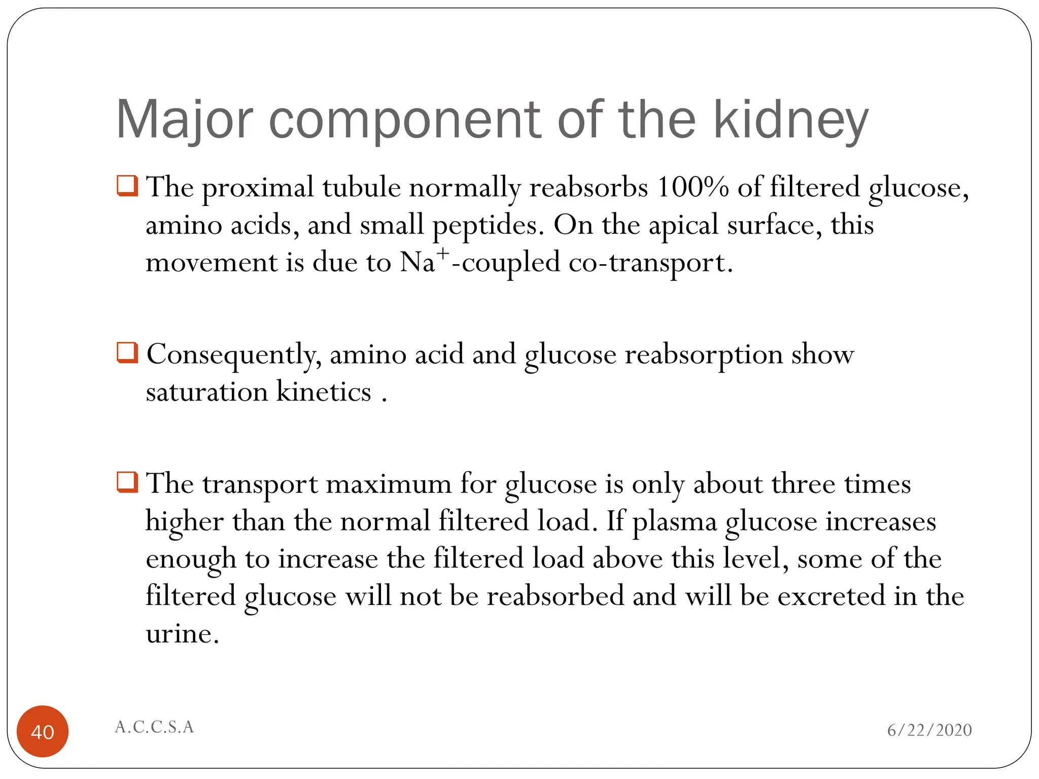 Kidney Function Test (1).pdf