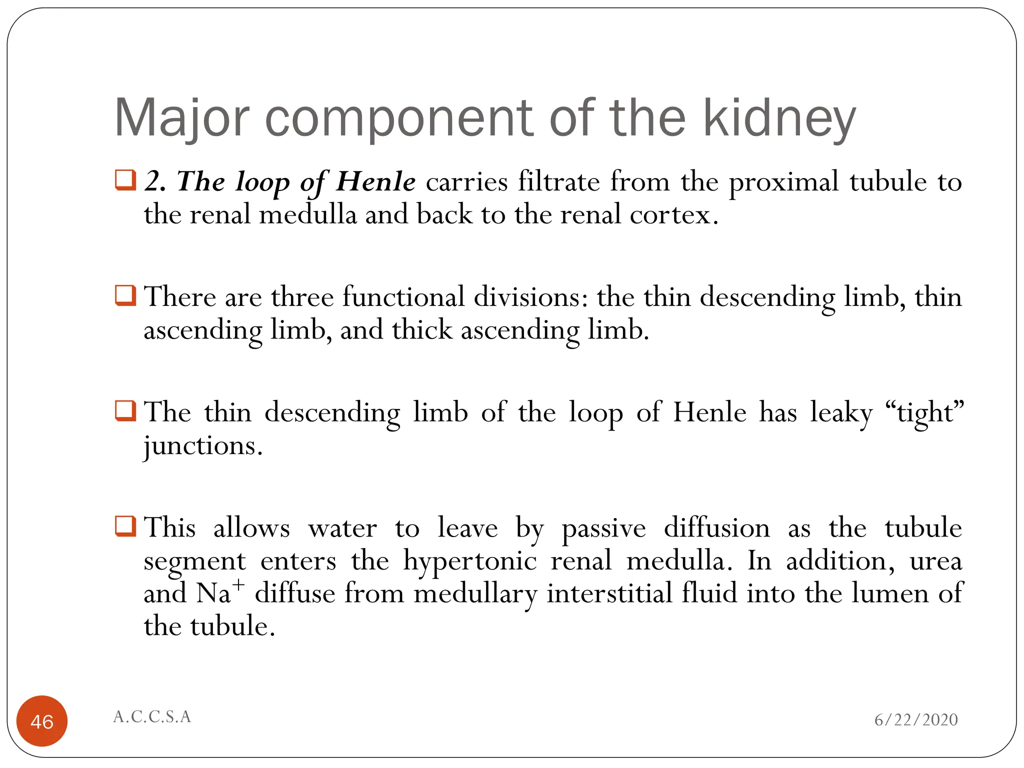 Kidney Function Test (1).pdf