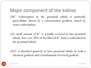 Kidney Function Test (1).pdf