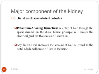 Kidney Function Test (1).pdf