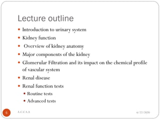 Kidney Function Test (1).pdf