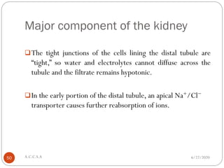 Kidney Function Test (1).pdf