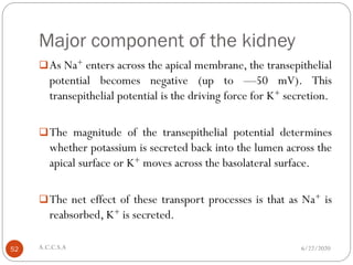 Kidney Function Test (1).pdf