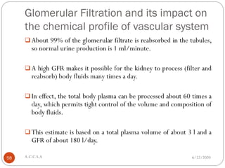 Kidney Function Test (1).pdf