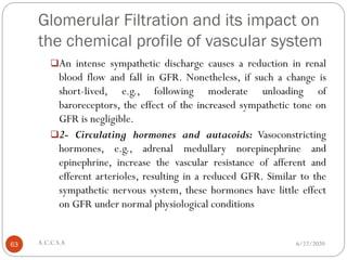 Kidney Function Test (1).pdf