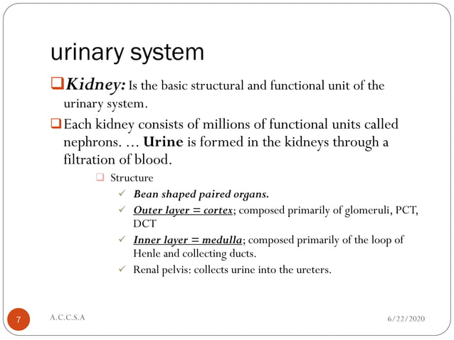 Kidney Function Test (1).pdf
