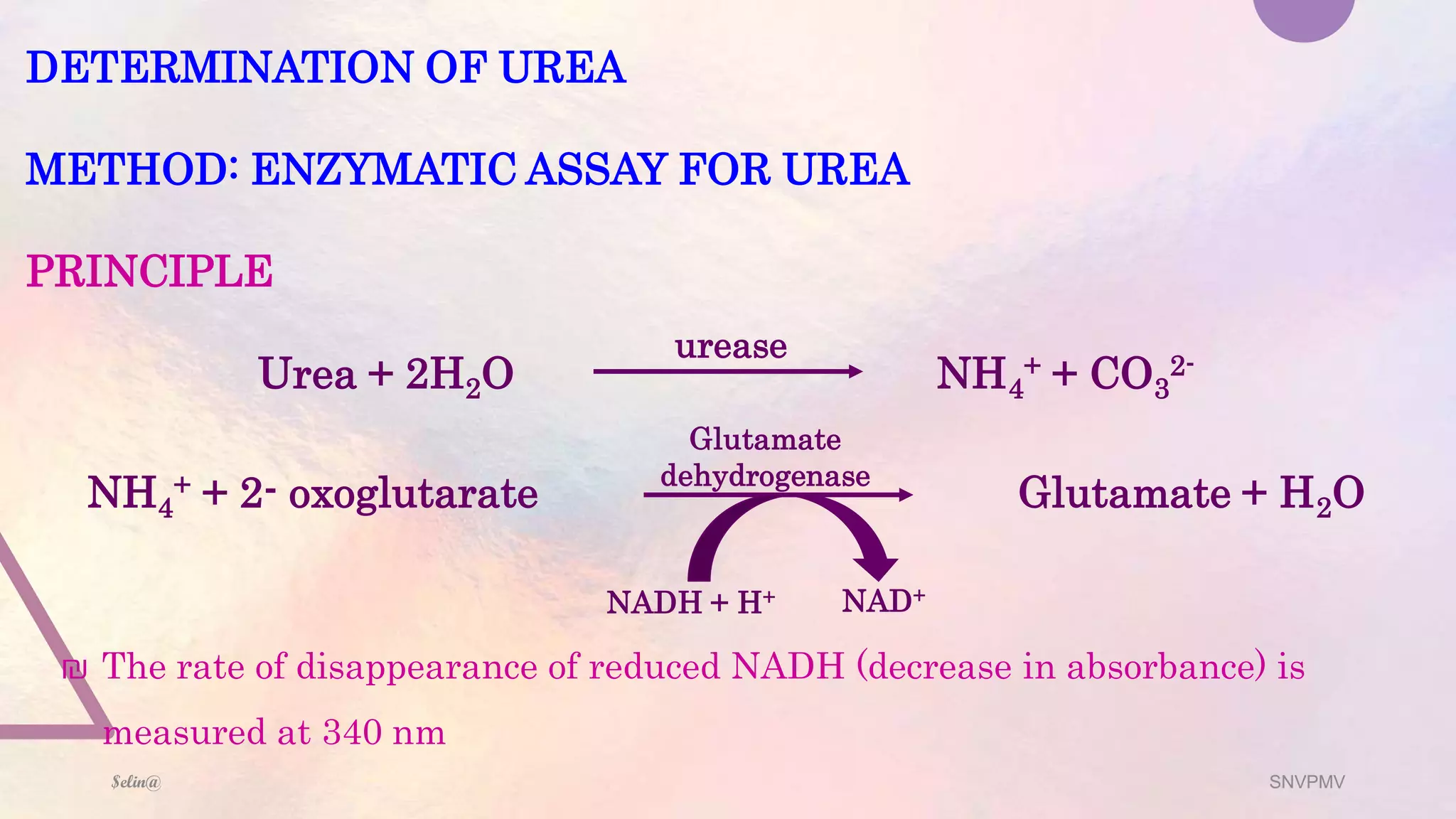Kidney function test npn constituents clearance tests_kidney stone ...