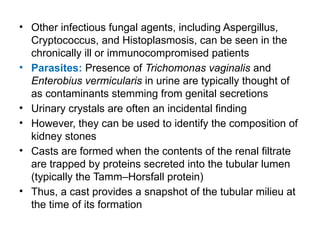 kidney function tests and its interpretation | PPTX