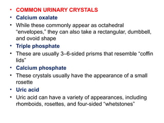 kidney function tests and its interpretation | PPTX