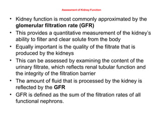 kidney function tests and its interpretation | PPTX