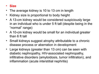 kidney function tests and its interpretation | PPTX