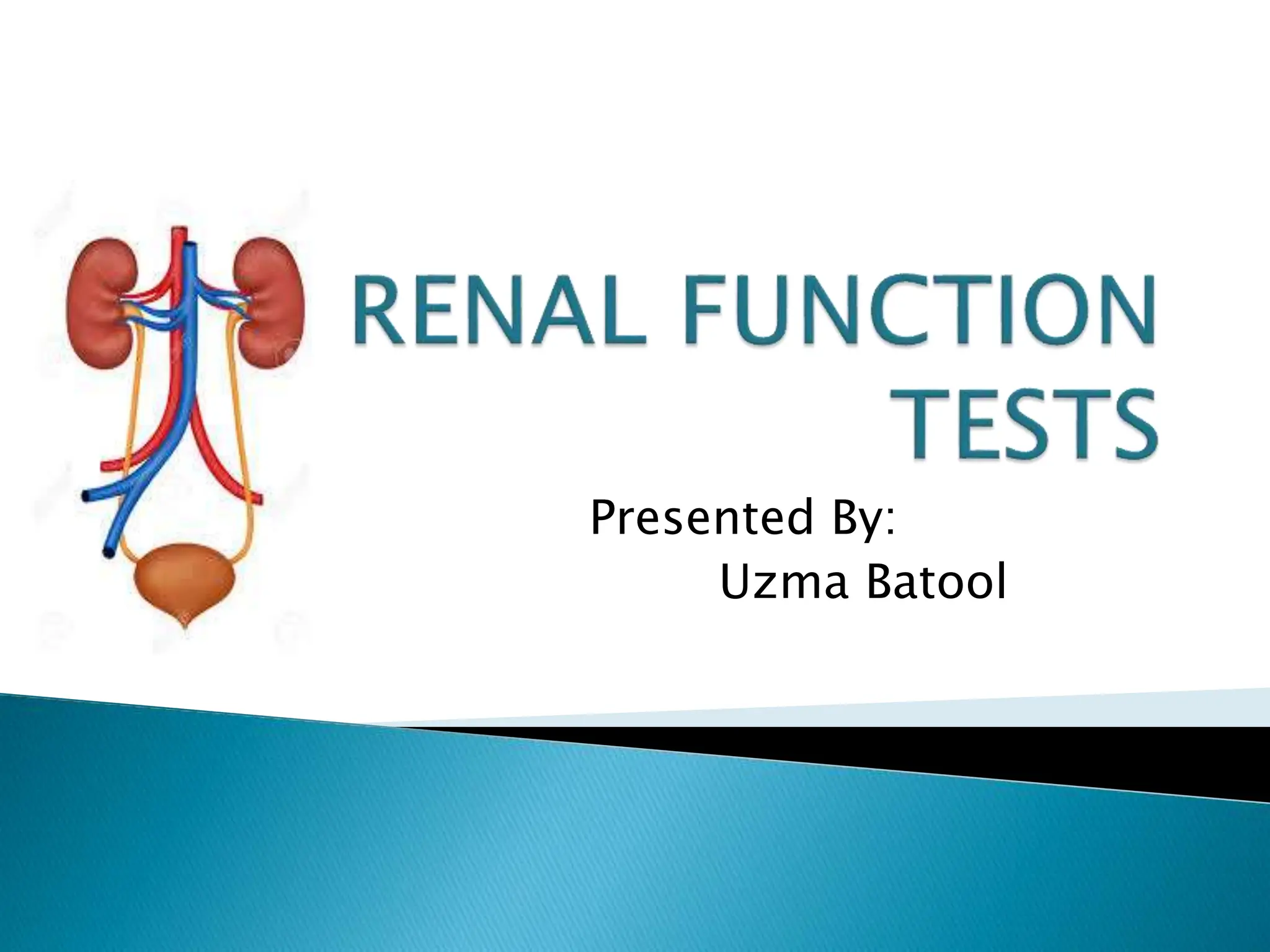 Kidney function tests used in clinical pathology.ppt