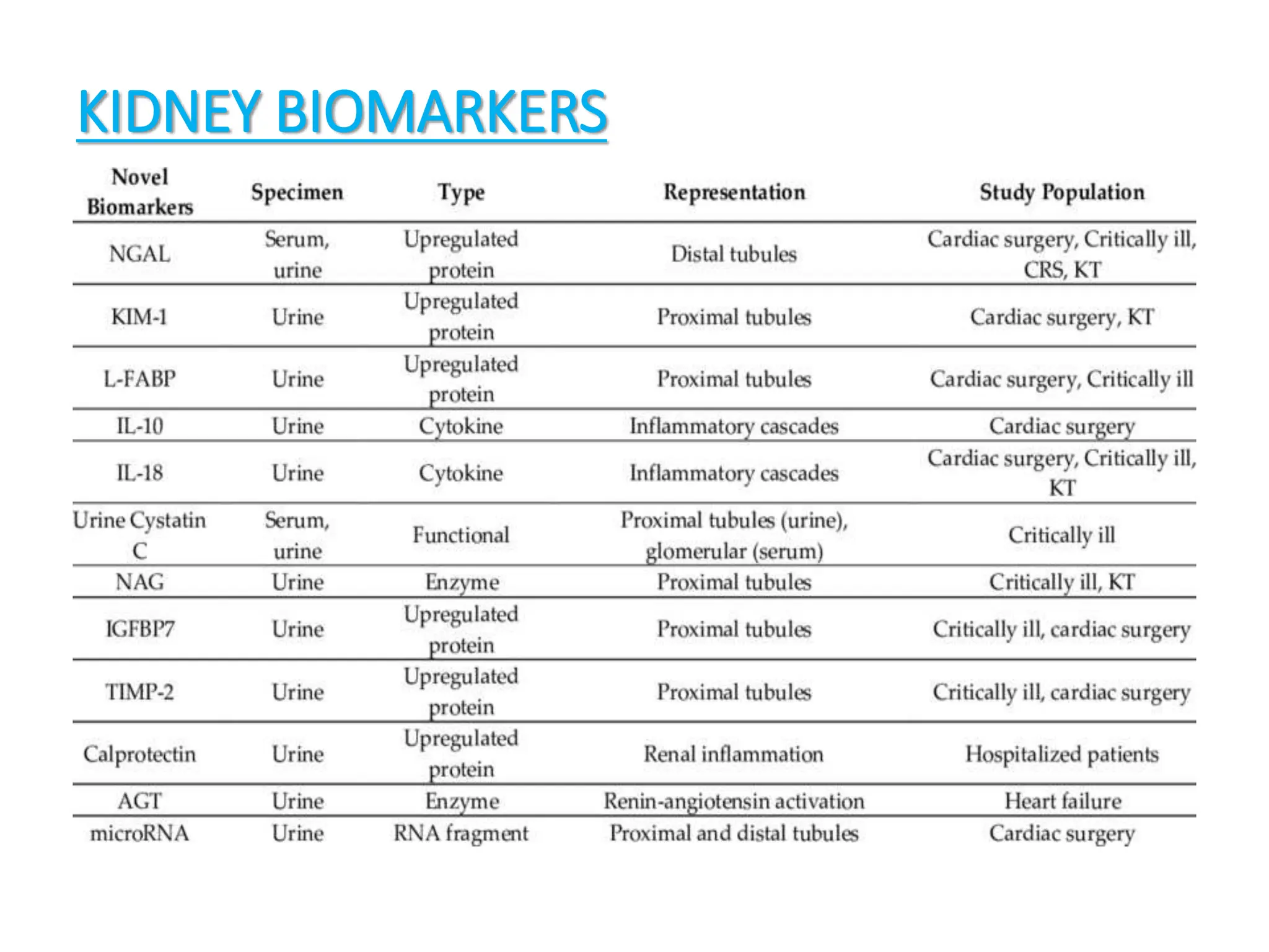 KIDNEY FUNCTION TEST STM.pptx by Dr Thakur | PPT