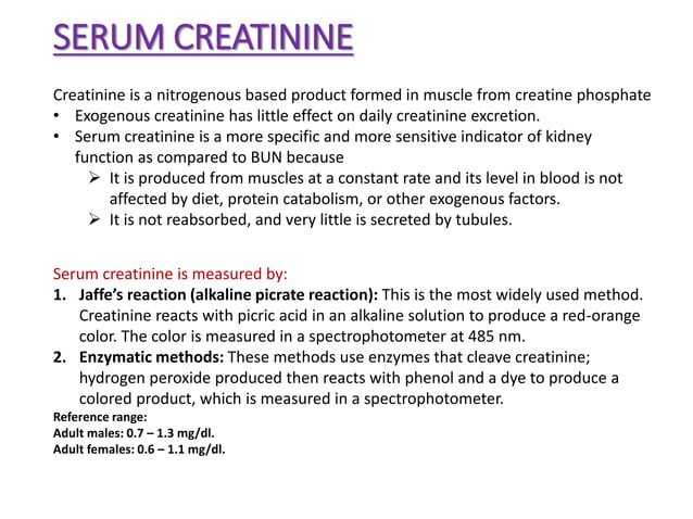 KIDNEY FUNCTION TEST STM.pptx by Dr Thakur | PPT