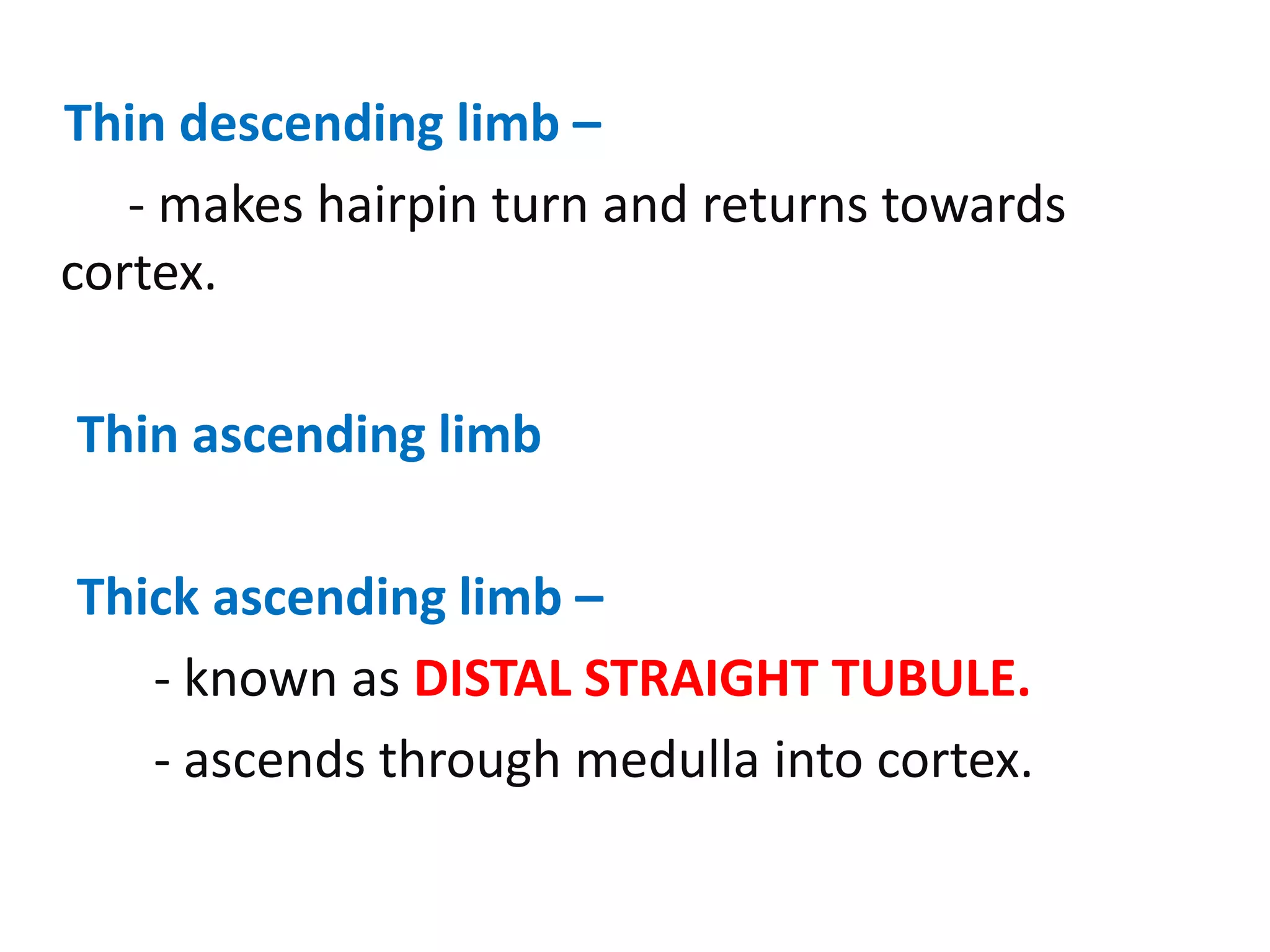 Kidney histology | PPTX