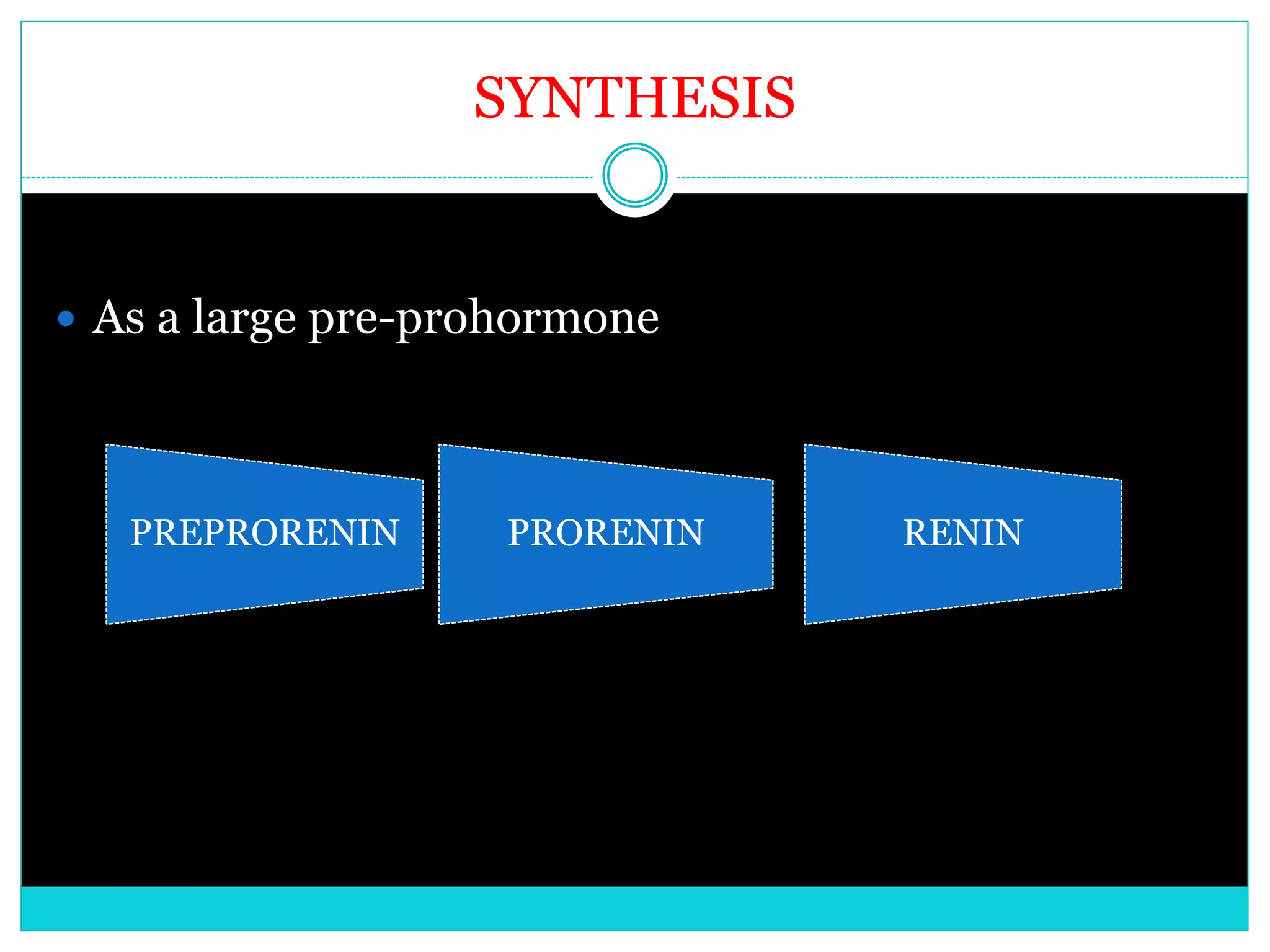 Kidney hormones.pptx