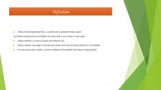 kidney infection ( pyelonephritis).pptx